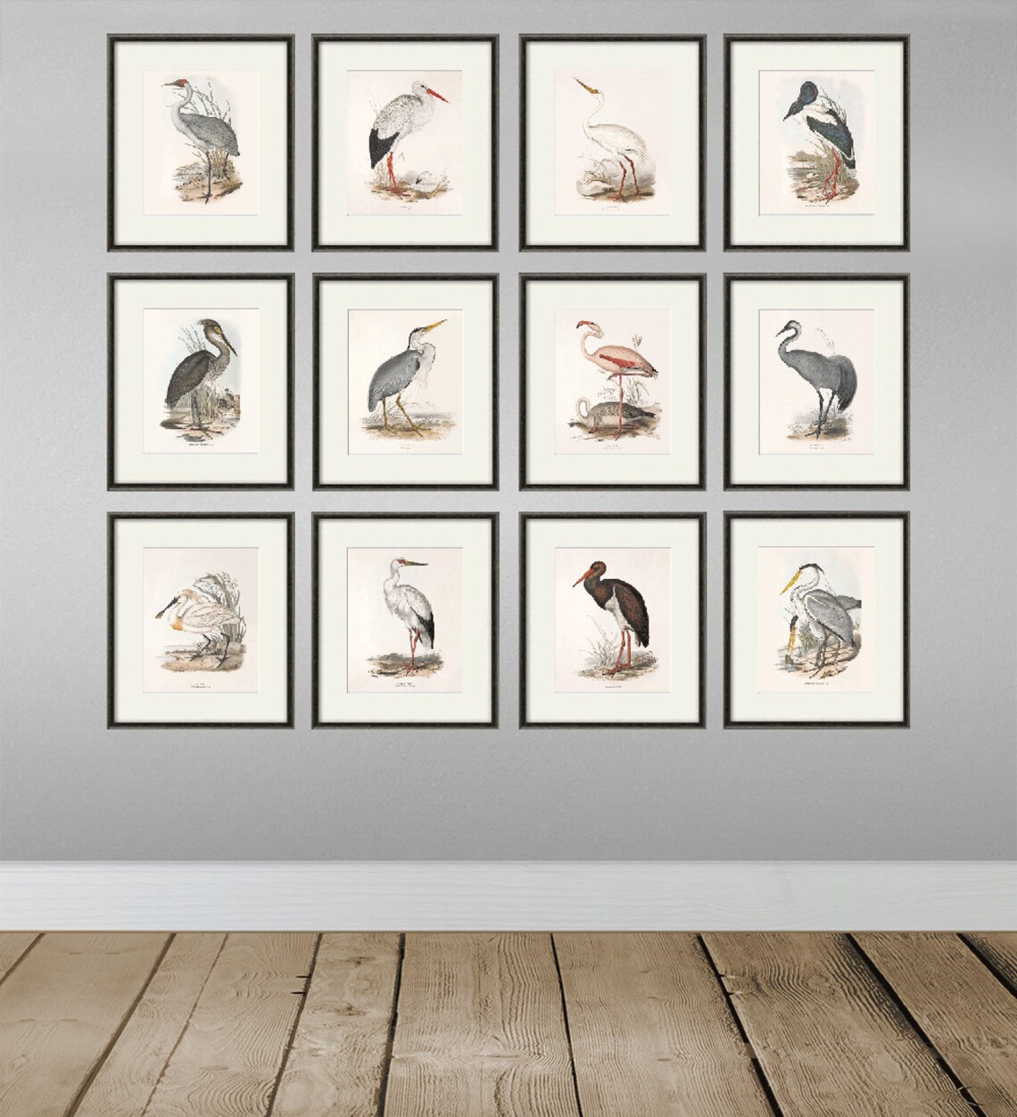Bird Wall Art Print Bird Art Print Nature Print Art Print - Etsy