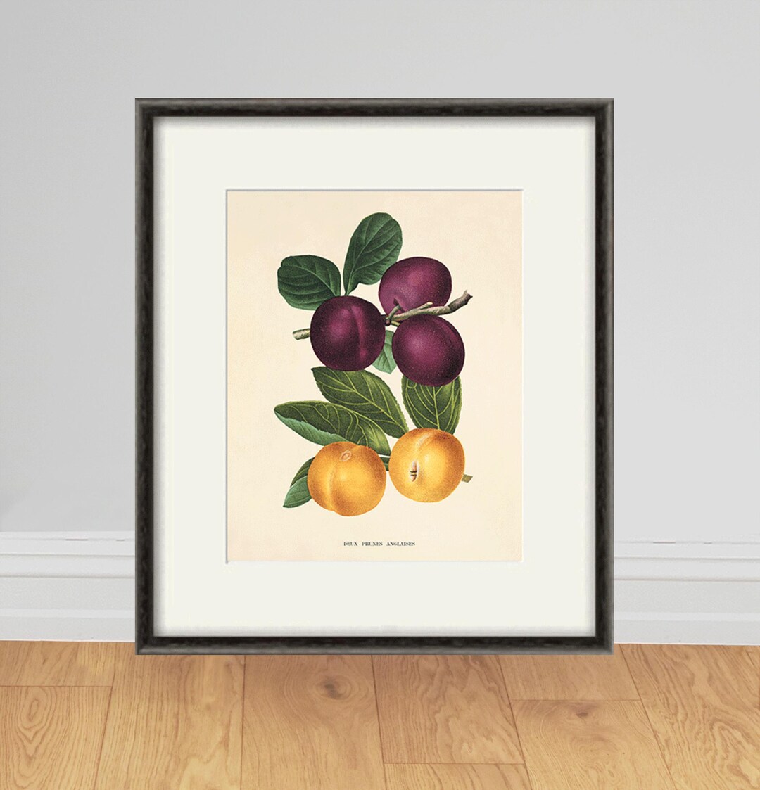 Vintage Plum Print: Botanical Victorian Fruit Wall Art - Etsy