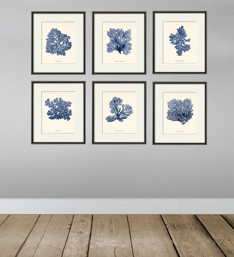 Navy blue Nautical art print set of 6 antique wall art | Etsy