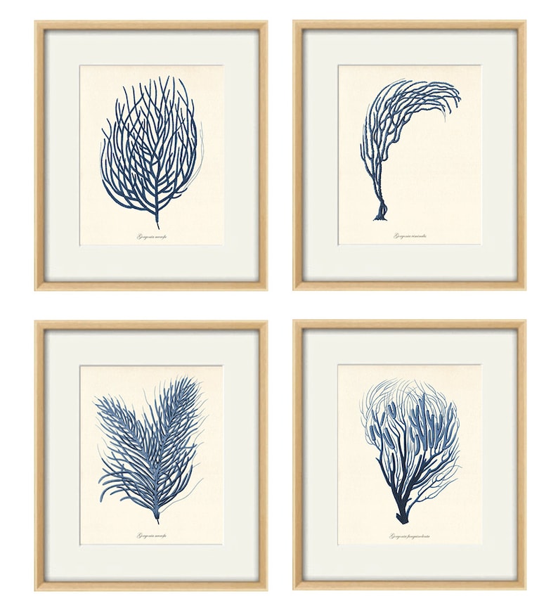 Nautical art print navy blue art Sea coral art print set of 4 | Etsy