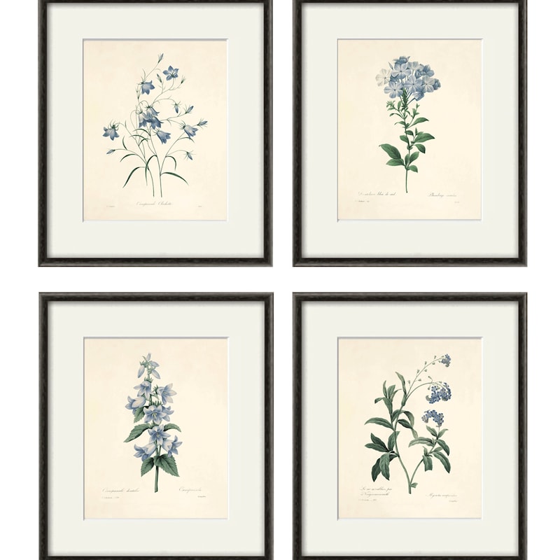 Botanical Poster - Etsy