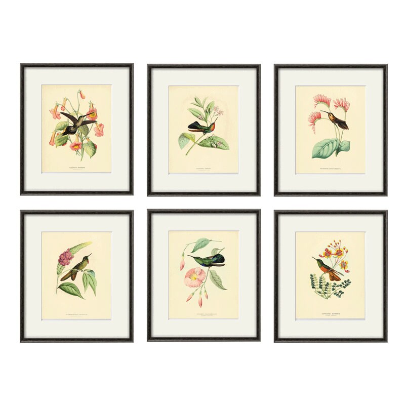 Antique Bird Print Bird Prints set Hummingbird Print Garden | Etsy
