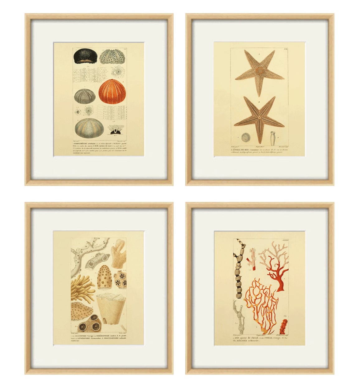 Sea Art Print Nautical Print Set Sea Art Print Vintage Ocean - Etsy