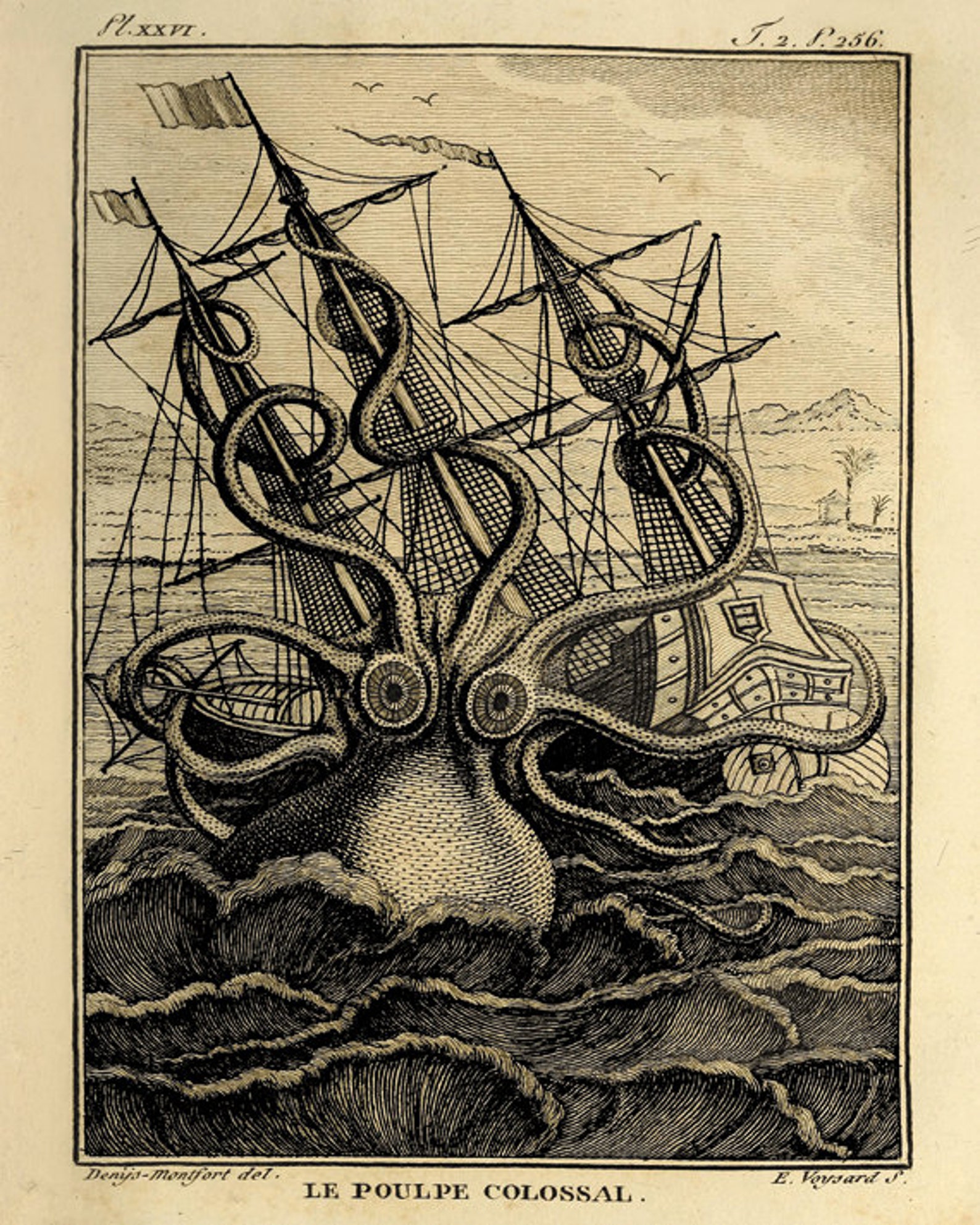 Antique Octopus Art Print Vintage Nautical Print Ocean Print - Etsy