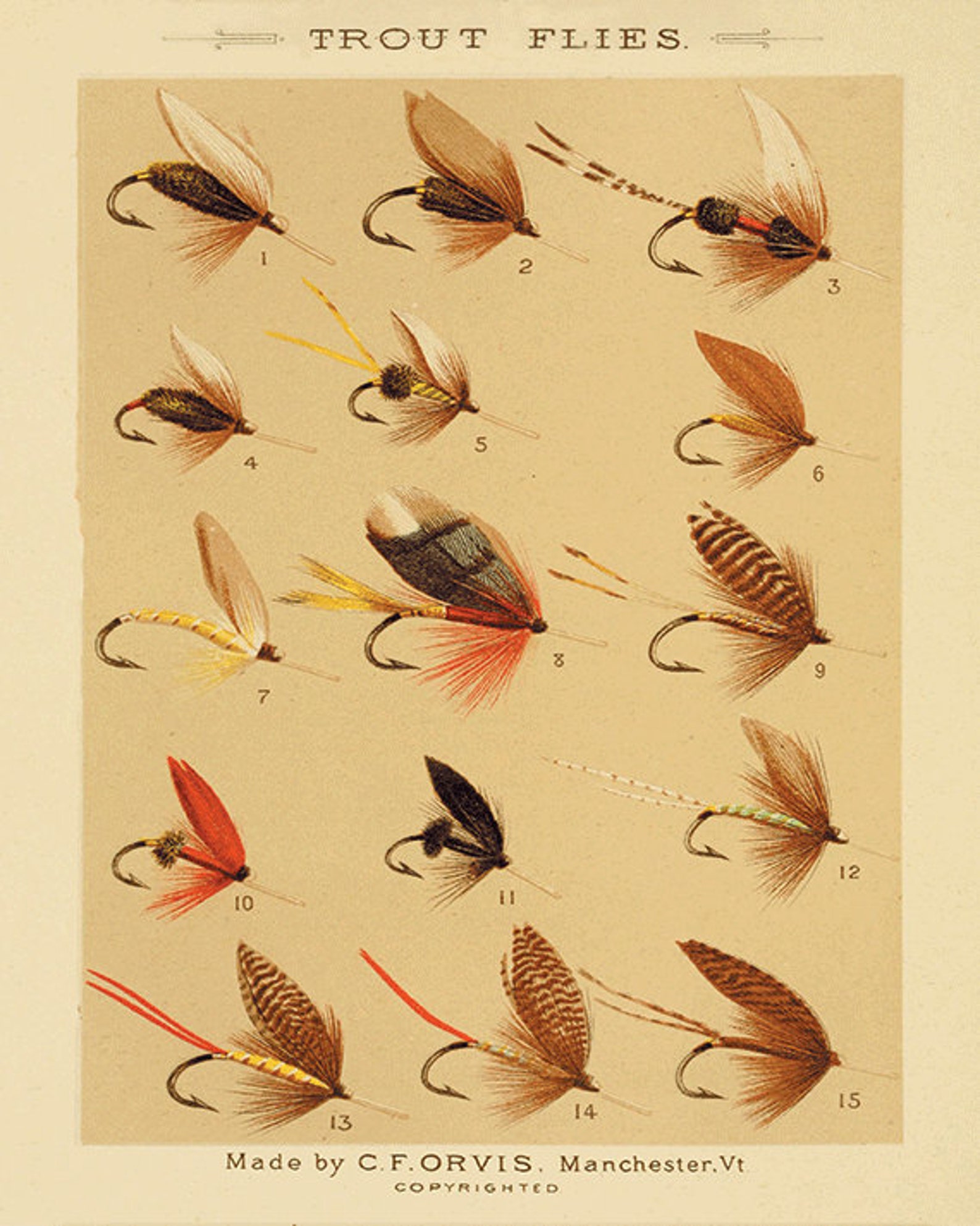 Trout Flies Fishing Print Fly Fishing Art Fishing Decor Art - Etsy