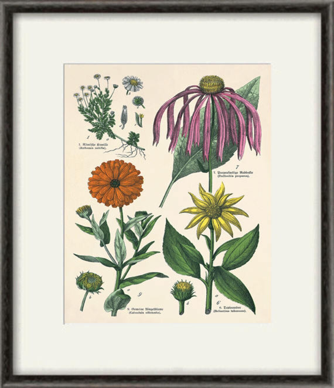 Antique Flower Print Cottage Wall Art Flowers Victorian Print | Etsy