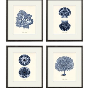 Blue Sea Coral Art Nautical Print Set Sea Art Print Vintage - Etsy ...