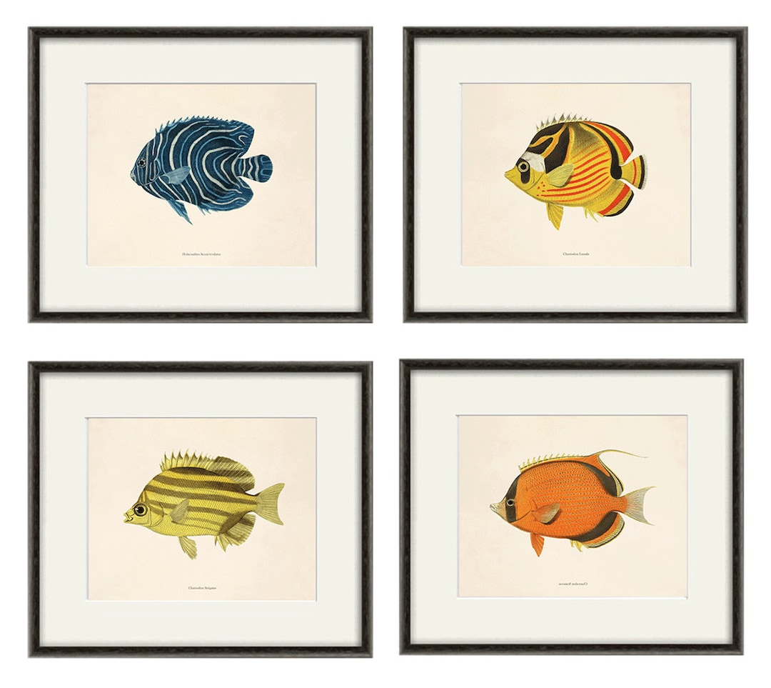 Vintage Tropical Fish Art Print: Antique Ocean Coastal Decor - Etsy