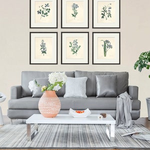 Antique Flower Print Cottage Wall Art Flowers Victorian Print French ...