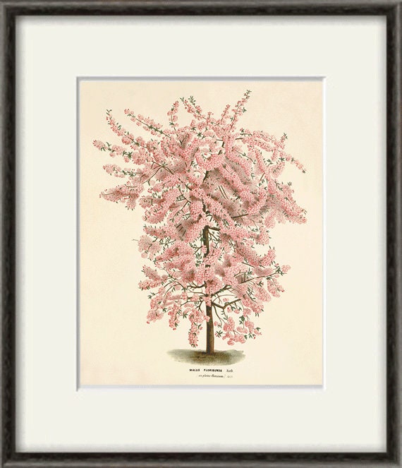 Pink tree art vintage flower print Cottage wall art Victorian | Etsy
