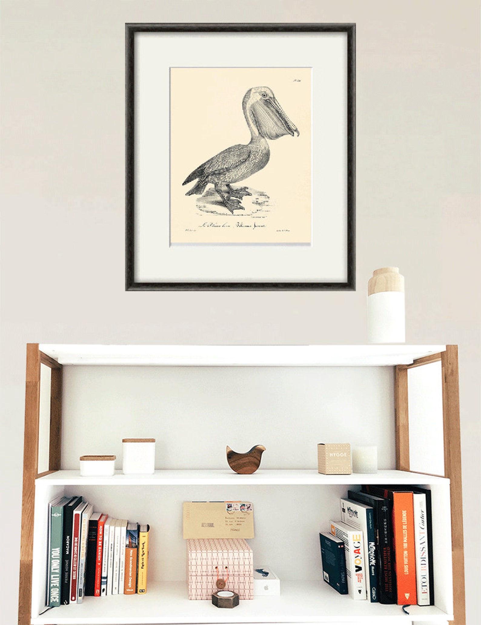 Pelican Art Print Bird Print Nature Print Antique Prints - Etsy
