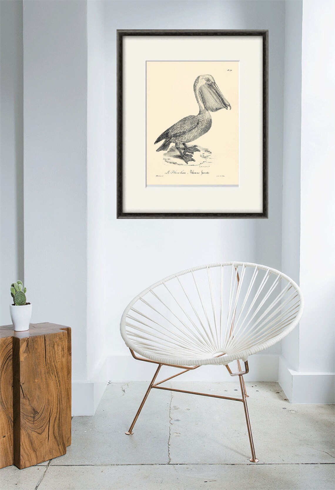 Pelican Art Print Bird Print Nature Print Antique Prints - Etsy
