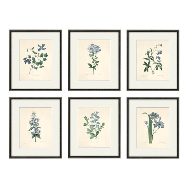 Botanical Print Set - Etsy