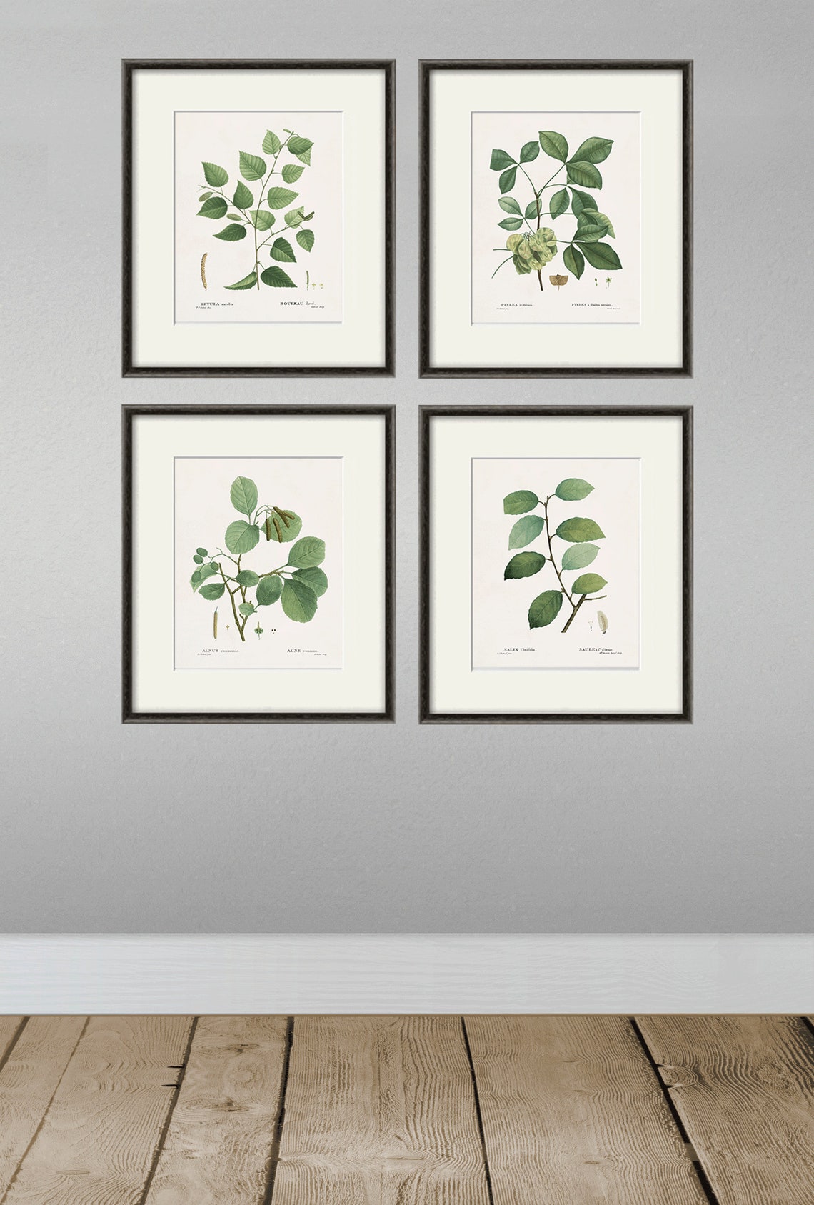 Botanical Print Set Leaf Art Print French Botanical Art Print - Etsy