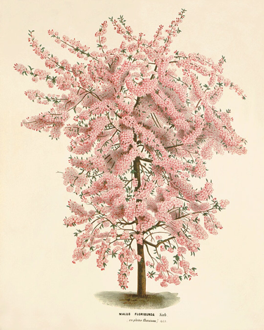Pink Tree Art Vintage Flower Print Cottage Wall Art Victorian Print ...
