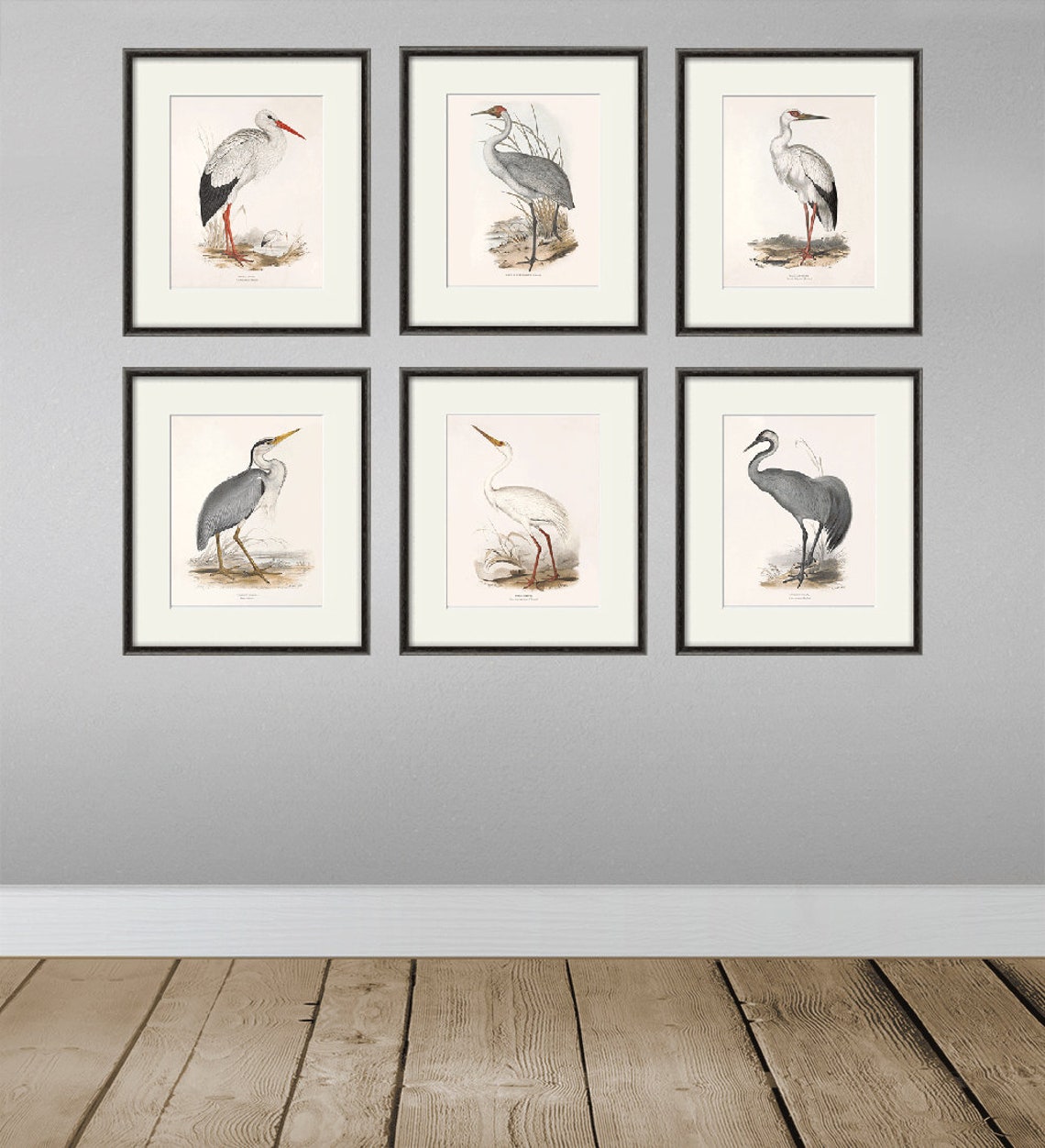 Bird Wall Art Print Bird Art Print Nature Print Art Print - Etsy