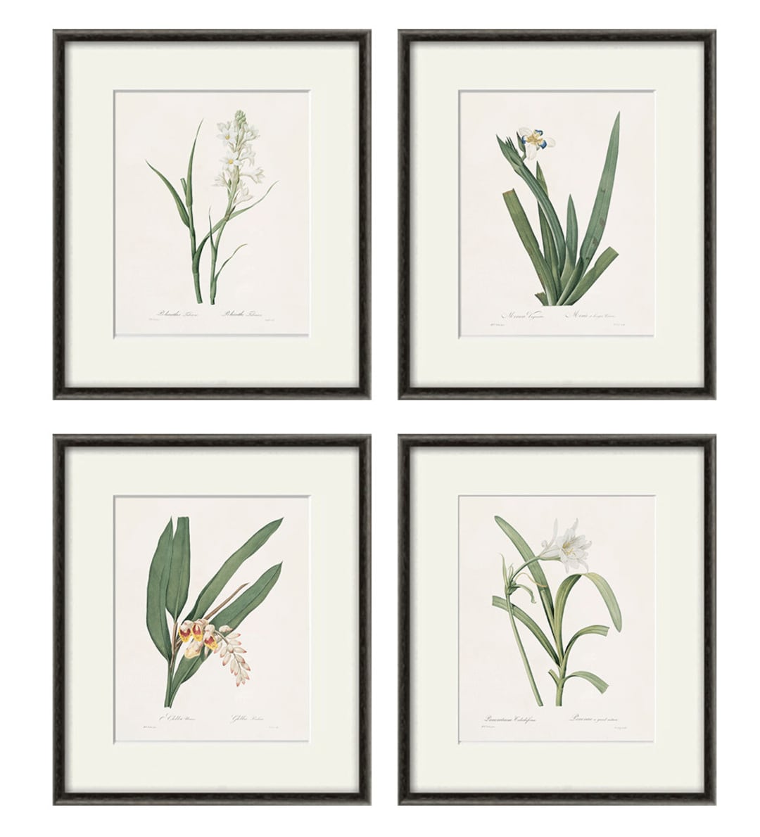 Antique Botanical Prints SET of 4 Botanical Art Prints Flower Prints ...
