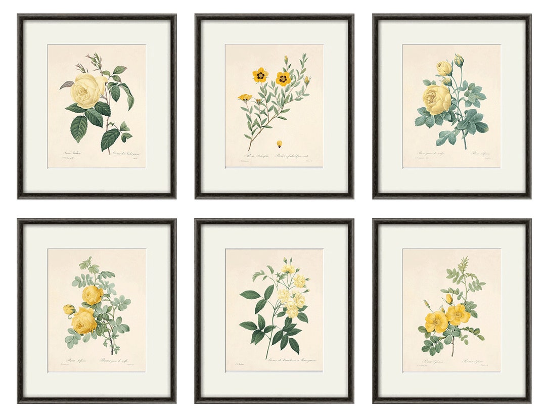 Yellow Rose Art Print Vintage Flower Print Cottage Wall Art Flower ...