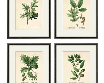 Tree Leaves Poster - Etsy