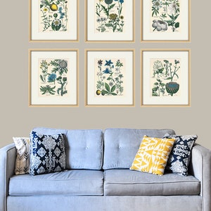 Antique Flower Print Cottage Wall Art Flowers Victorian Print Flower ...