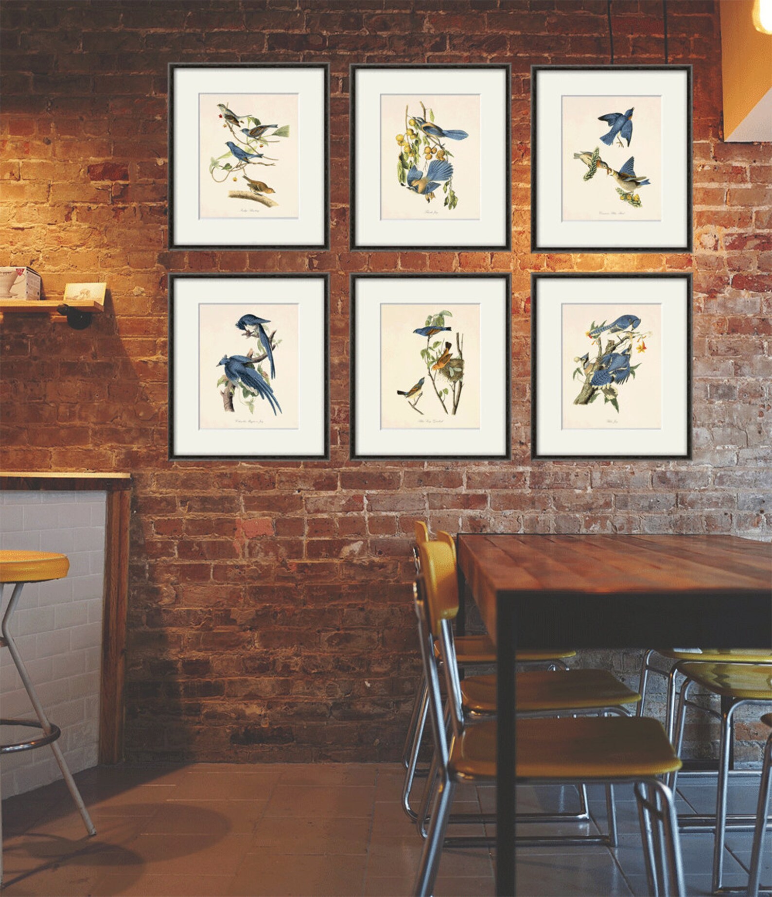 Antique Bird Print Set Bird Art Print Set Antique Prints Bird - Etsy