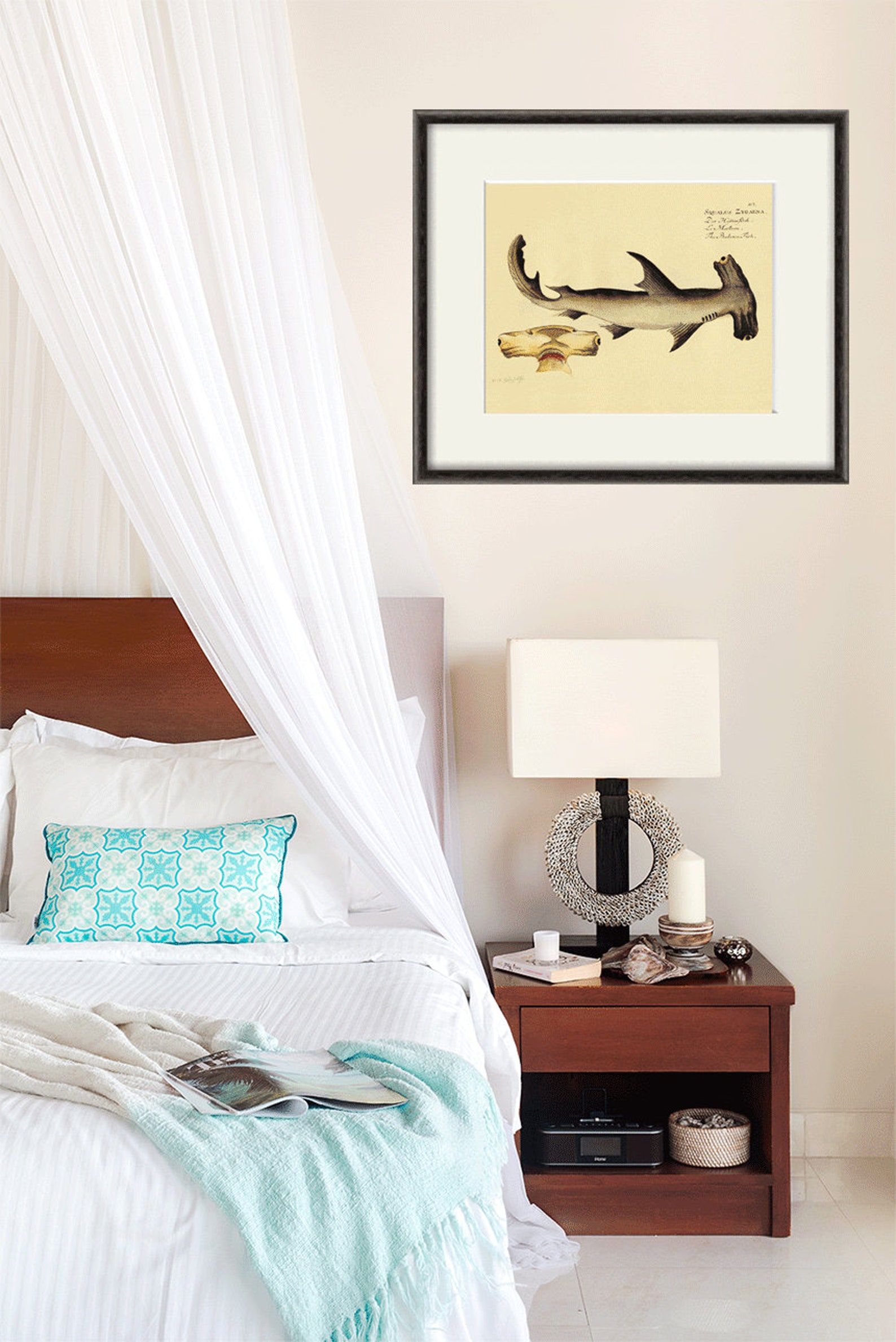 Shark Art Print Fish Art Print Ocean Art Sea Beach Art - Etsy