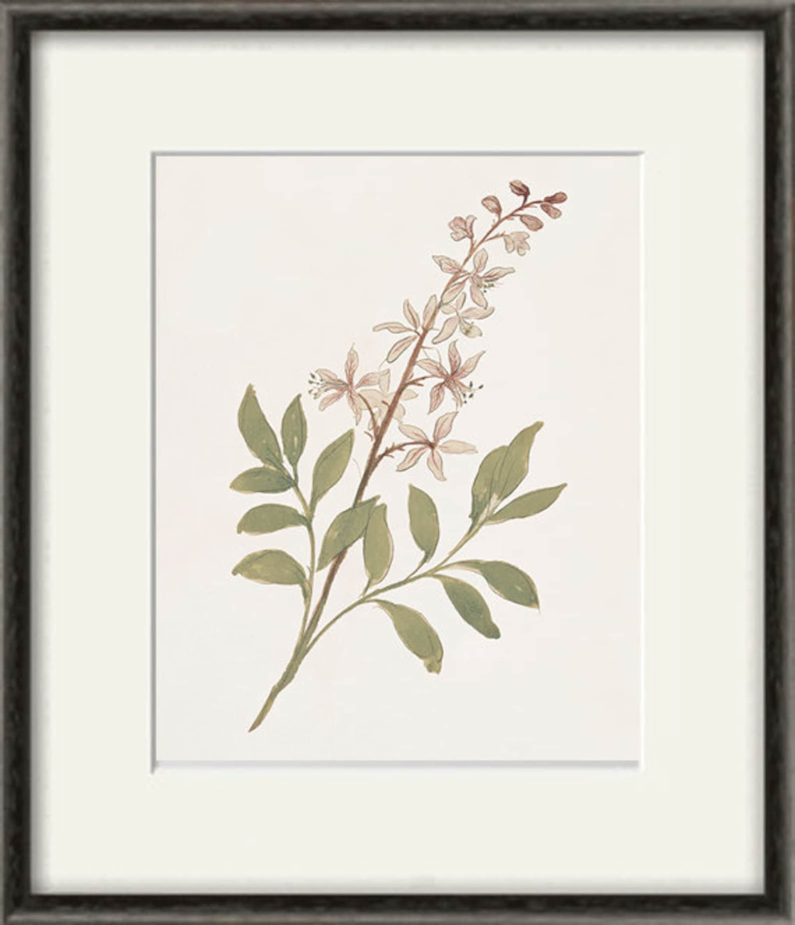 Antique Botanical Prints SET of 4 Botanical Art Prints Flower | Etsy