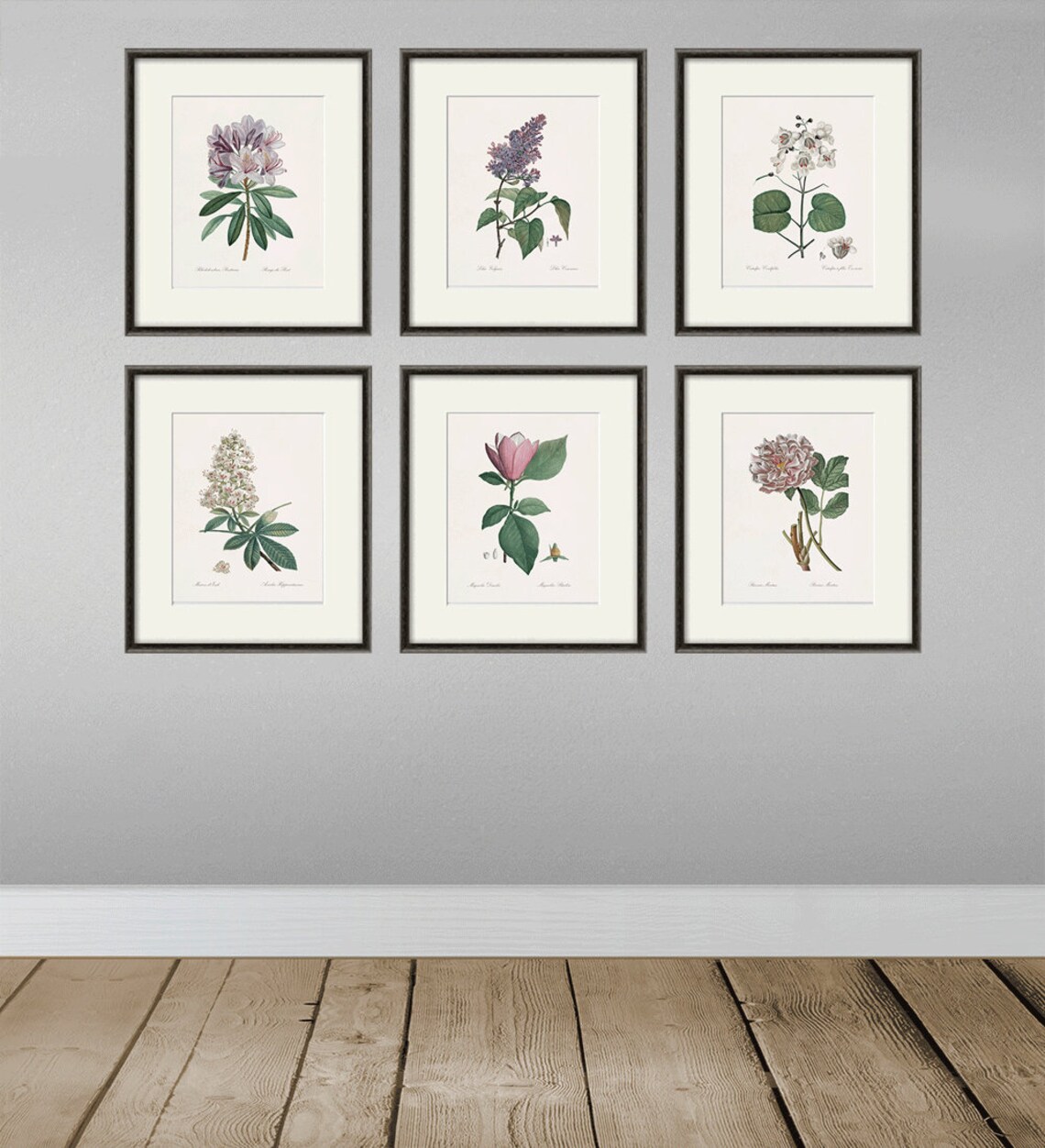 Antique Flower Art Print Set Antique Prints Pink Botanical - Etsy