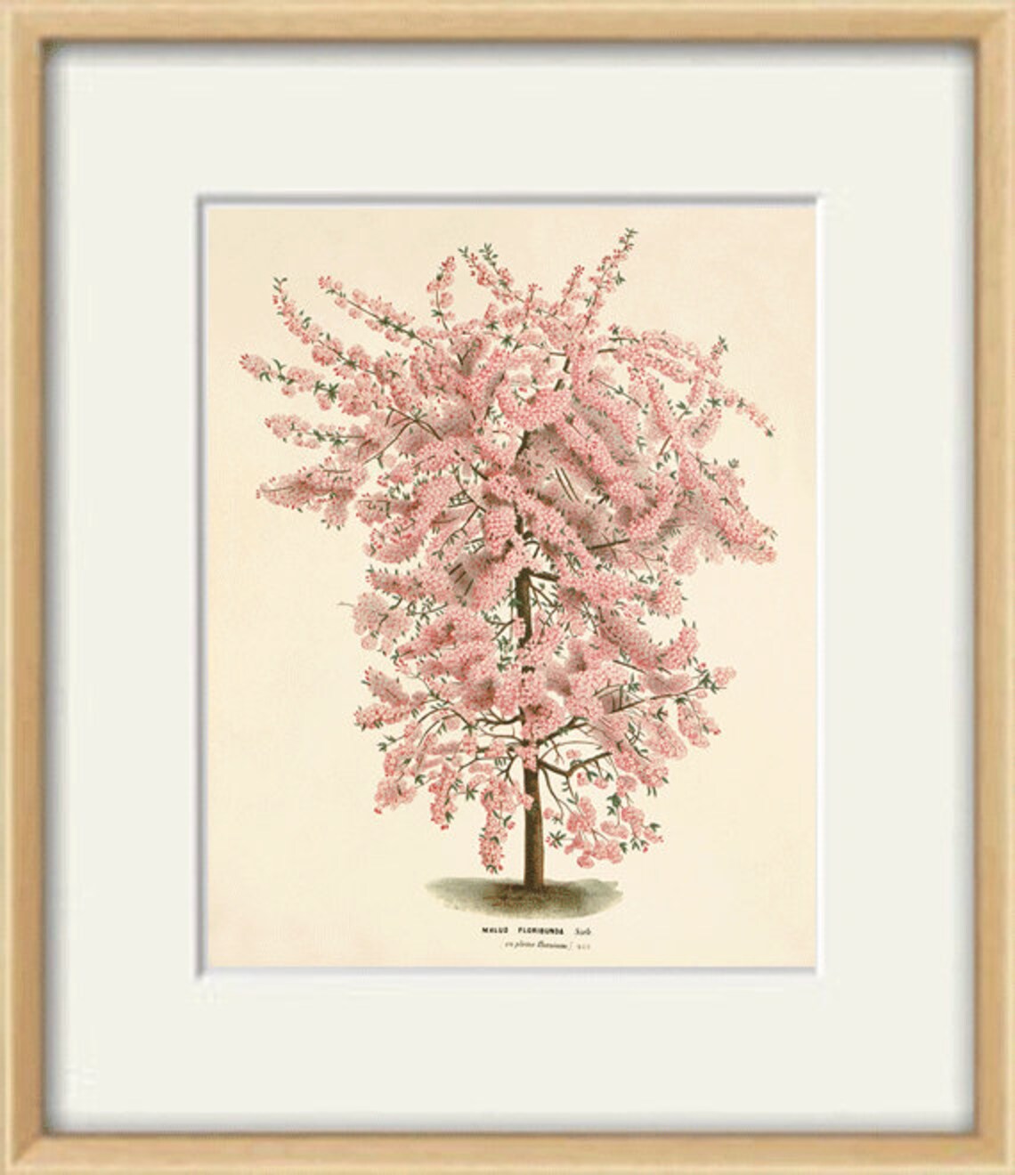 Pink Tree Art Vintage Flower Print Cottage Wall Art Victorian | Etsy