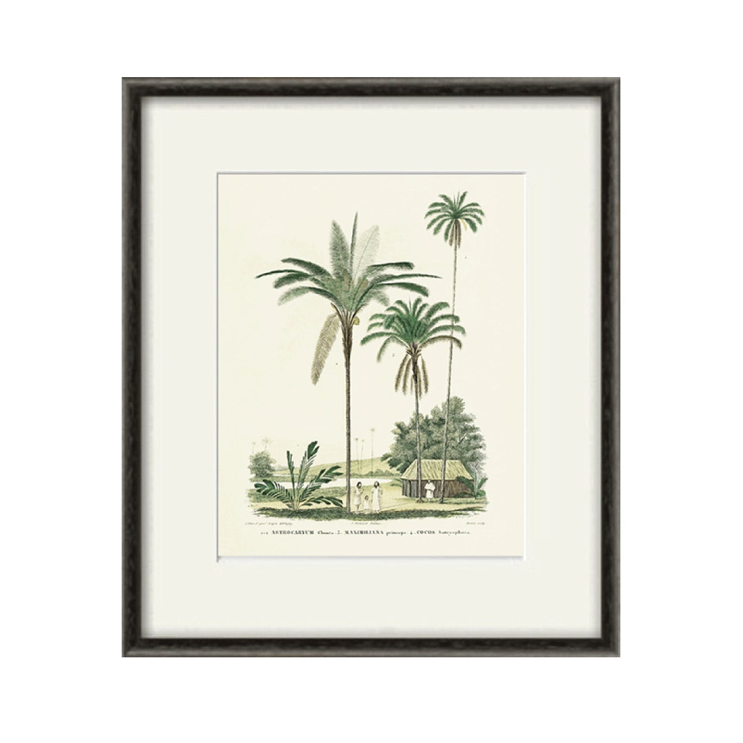 Palm Tree Art Print Antique Botanical Art Prints Home Decor Wall Art ...