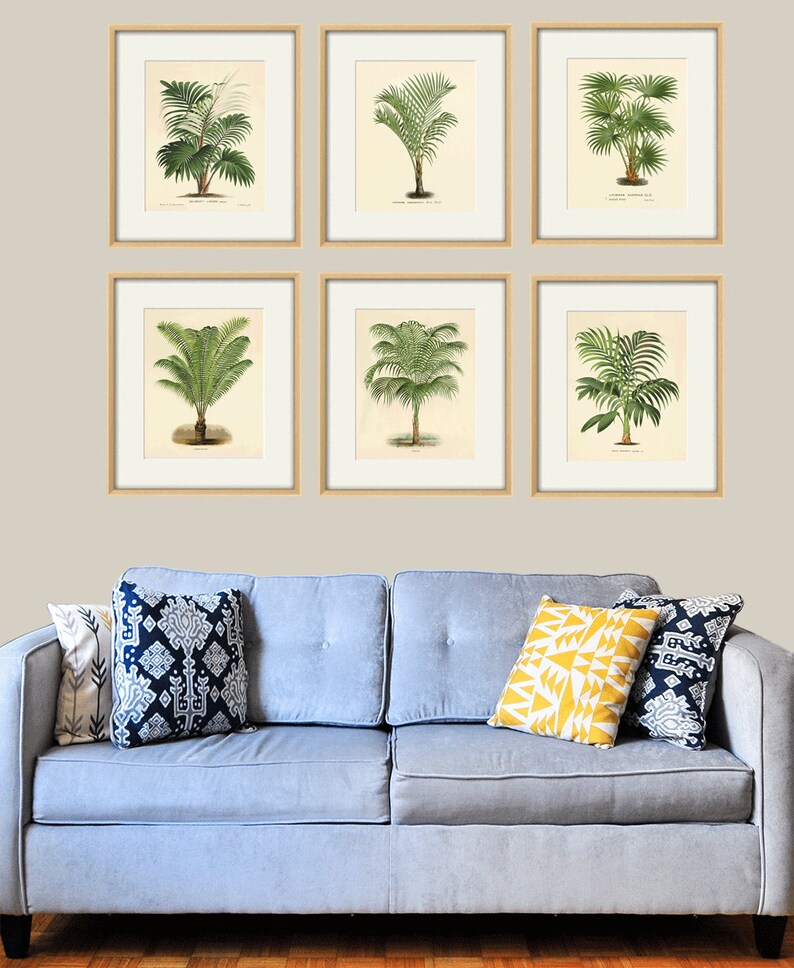 Palm Tree Art Print Antique Botanical Art Prints Home Decor - Etsy