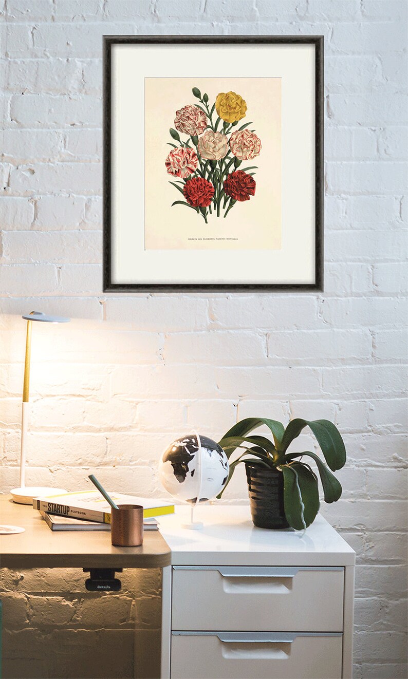 Carnation Art Print Antique Flower Art Botanical Art Prints - Etsy