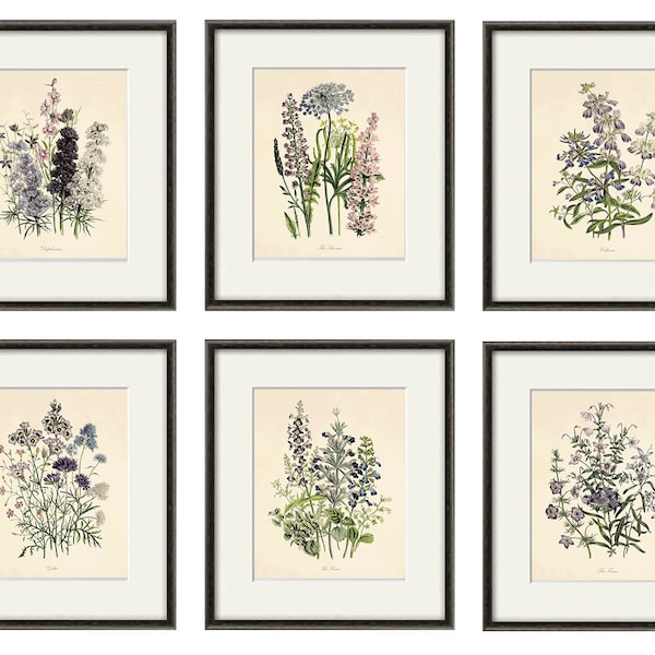 Botanical Poster - Etsy