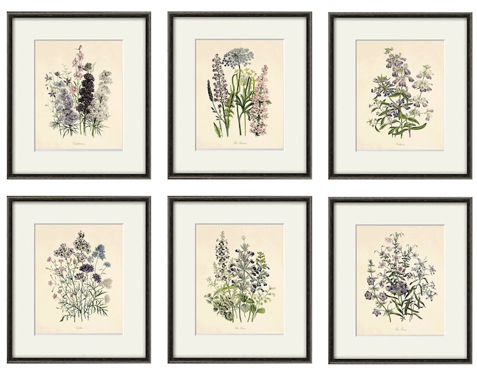Antique Botanical Prints SET of 6 Botanical Art Prints Flower - Etsy