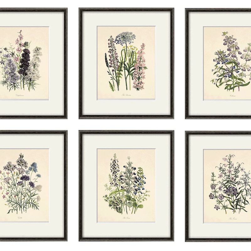 Large Botanical Prints - Etsy