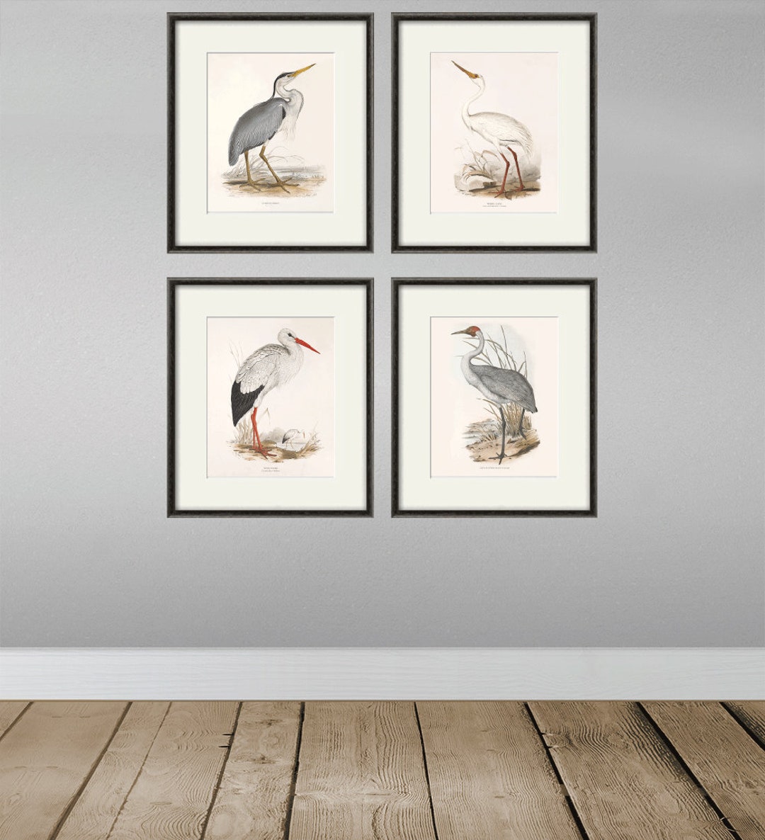 Antique Bird Print Set Bird Art Print Set Antique Prints Bird Decor ...