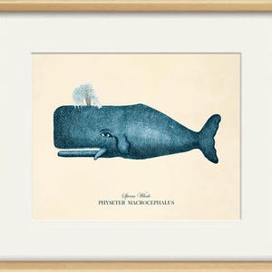 Blue Whale Art Print Antique Prints Sea Art Print Old Prints Natural ...