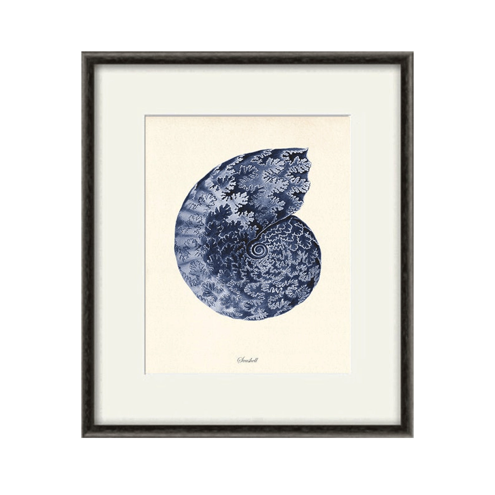 Antique Sea Shell Art Print Vintage Nautical Art Print Sea Art - Etsy