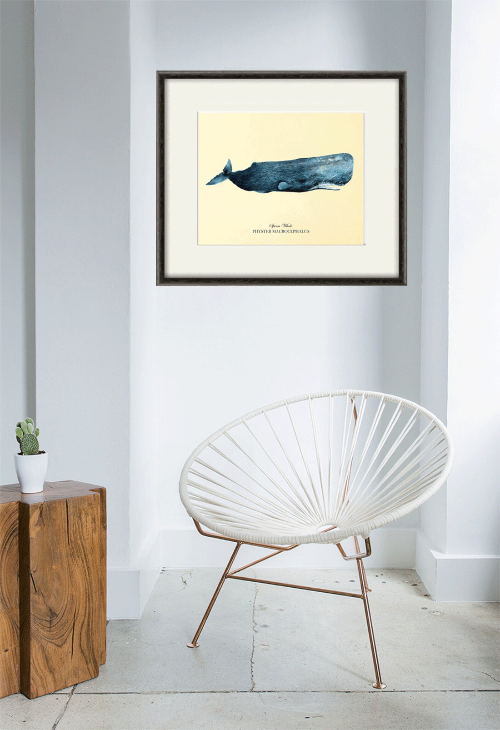 Blue Whale Art Print Antique Prints Sea Beach Art Sea Art - Etsy
