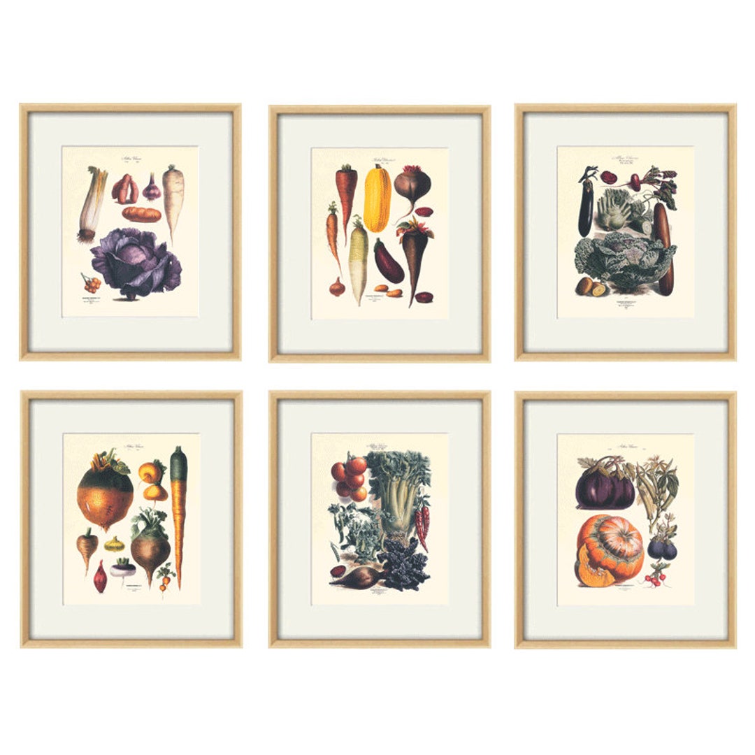 Vegetable Art Print Antique Botanical Print Vegetable Print - Etsy