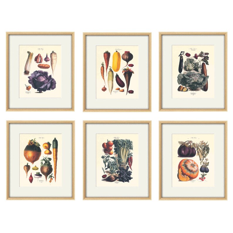 Vegetable Art Print Antique Botanical Print Vegetable Print - Etsy