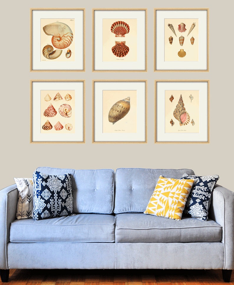 Antique Sea Shell Art Print Vintage Nautical Art Print Sea Art - Etsy