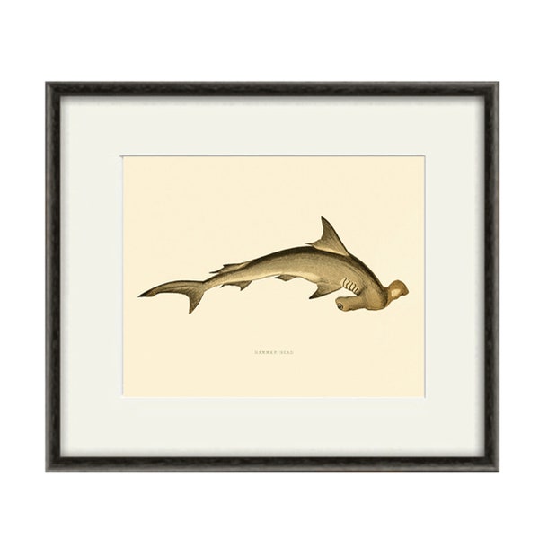 Shark Prints - Etsy