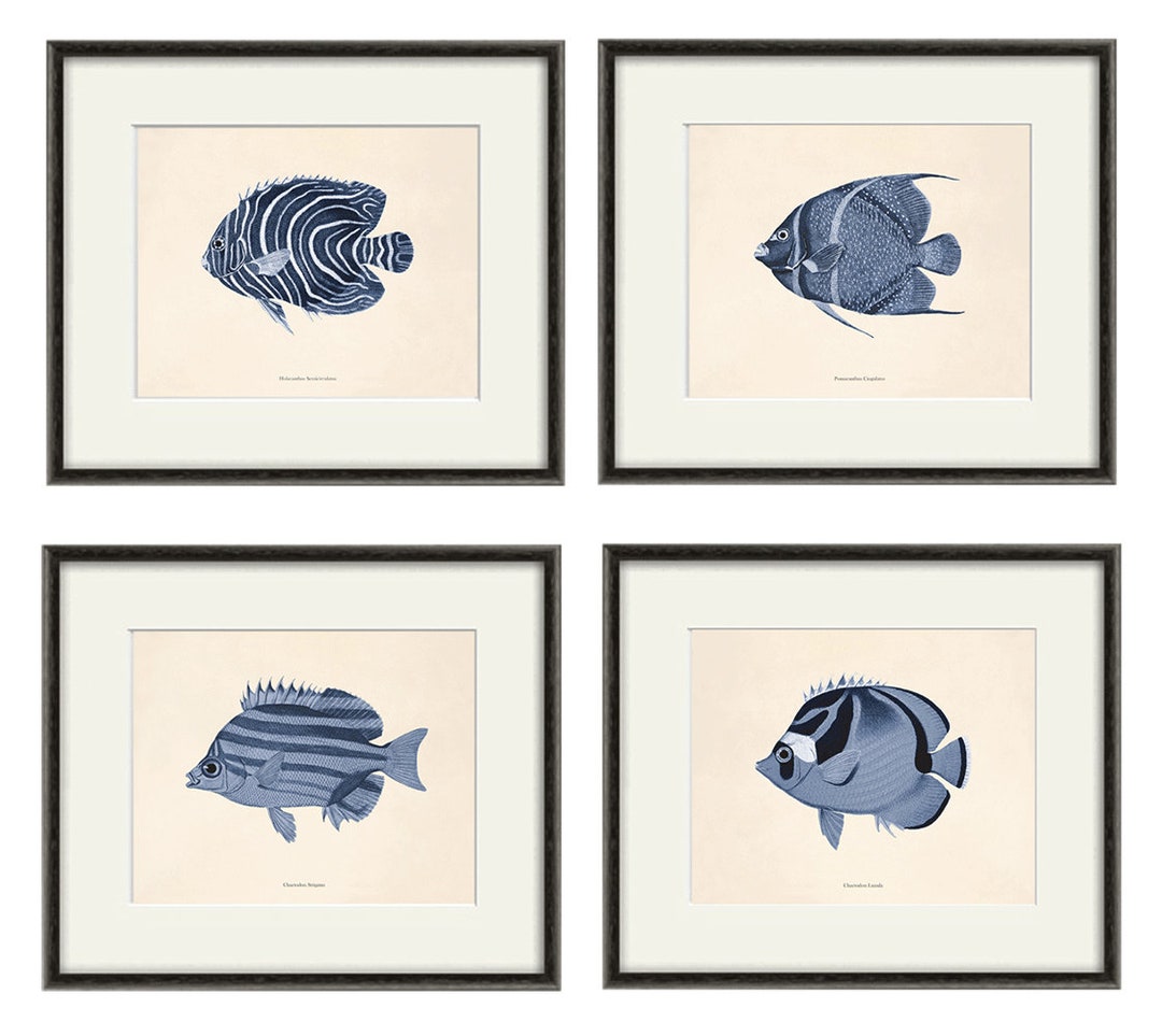 Tropical Fish Art Print Navy Blue Art Fish Print Antique Wall Art Beach ...