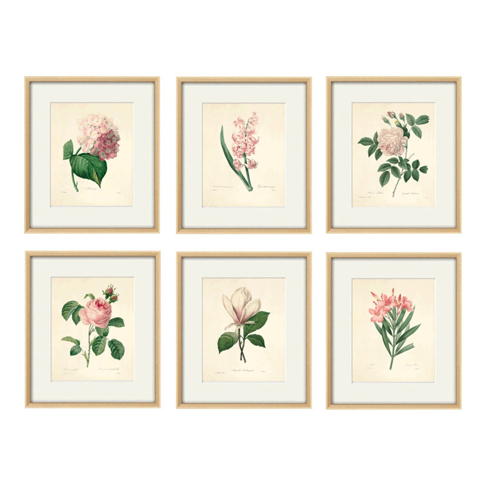 Antique flower art Print set antique prints pink botanical | Etsy