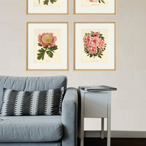 Pink Botanical Prints Set Of 4 Vintage Flower Art Print Cottage Wall