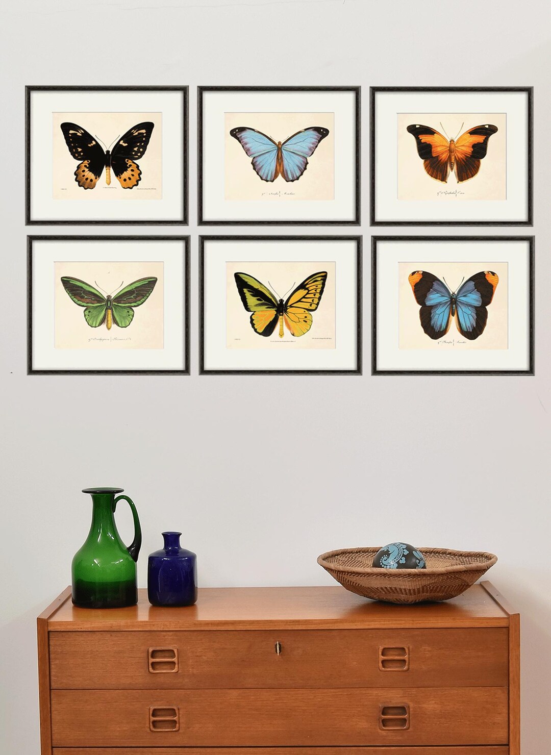 Antique Butterfly Art Print Set, Victorian Natural History Decor - Etsy