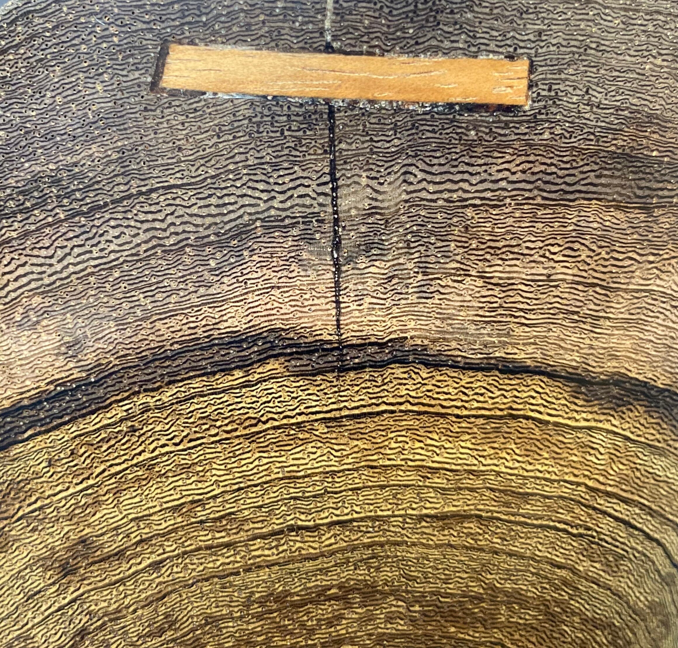 Pheasant Wood Natural-edge Bowl From Hawaii 2474 Made by Aaron Hammer ...