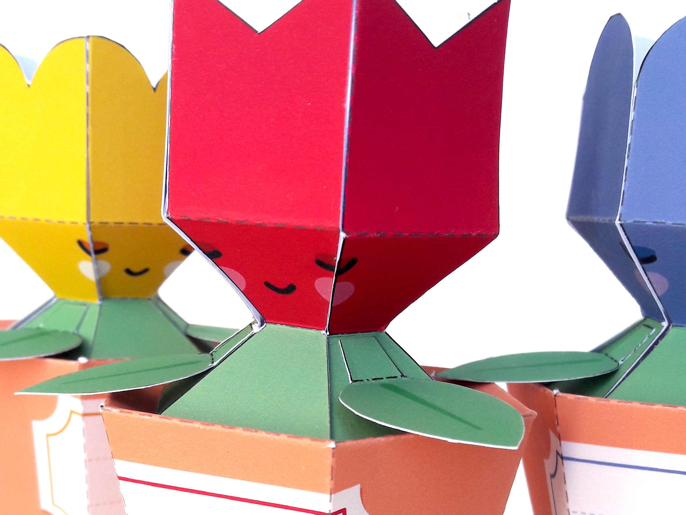 Digital Flower Pop up Box DIY - Etsy