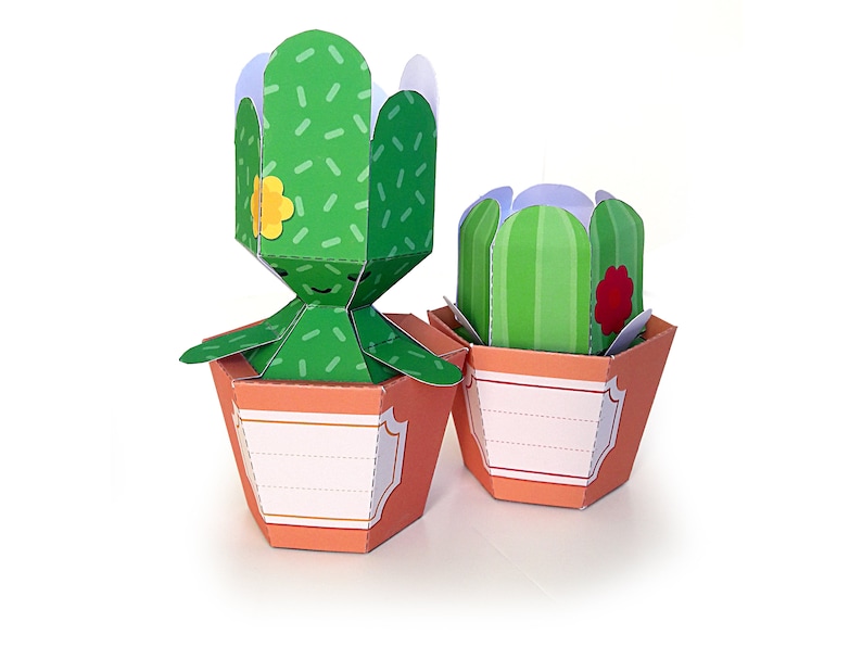 Digital Cactus Pop up Box DIY - Etsy